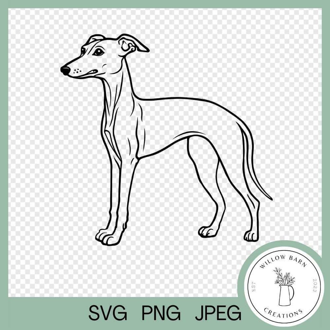 Whippet Dog Outline SVG Graphic Digital Download Cricut, Silhouette ...