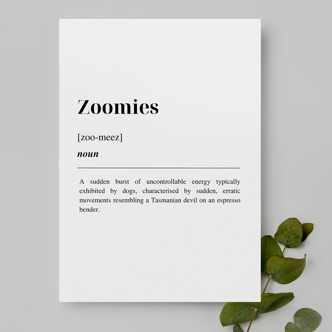 Zoomies Dictionary Definition Style Poster digital Download Funny Dog ...