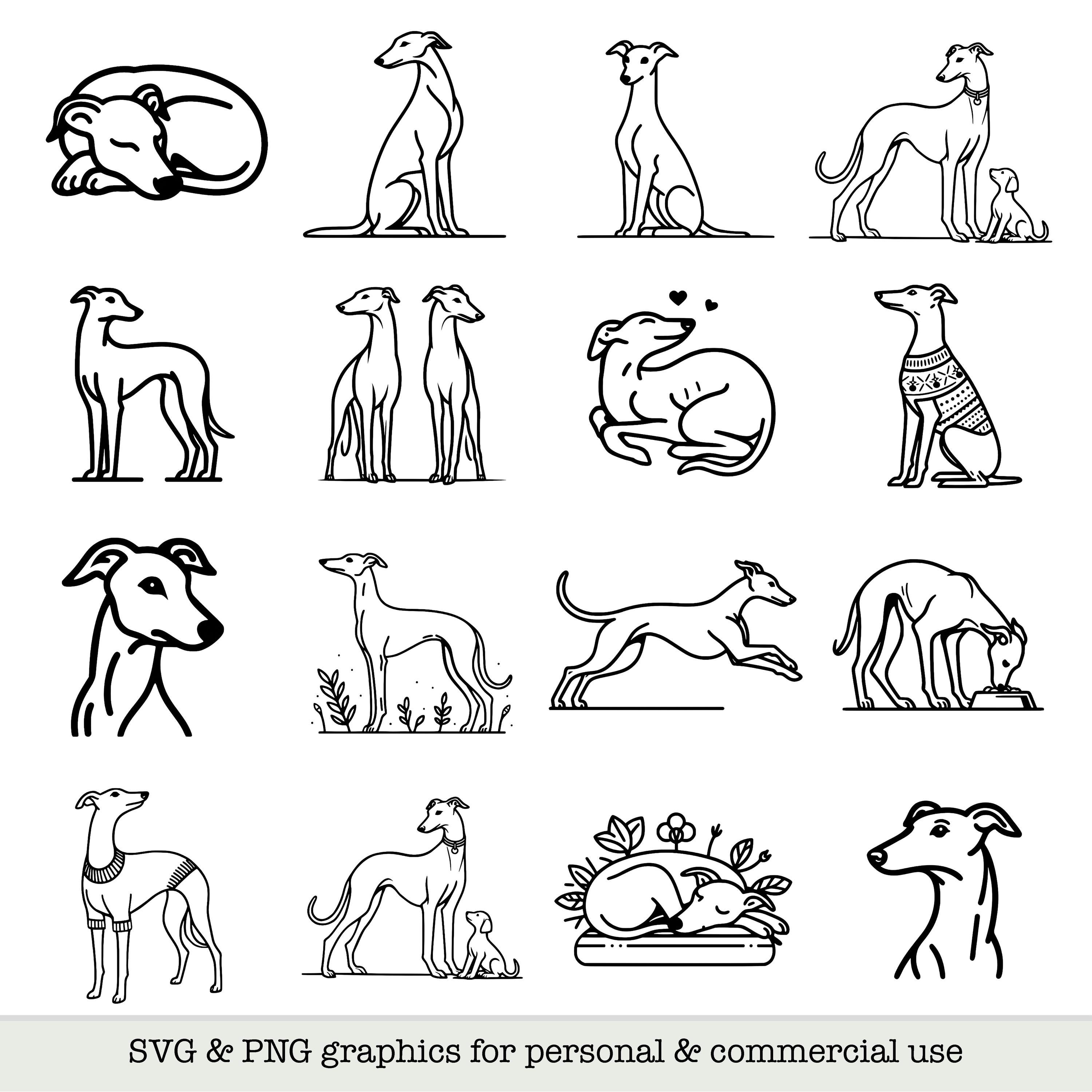 16 x Galgo / Whippet PNG y SVG Gráficos vectoriales / Galgo italiano ...