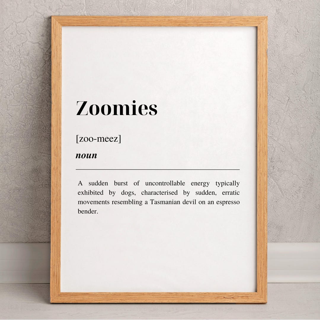 Zoomies Dictionary Definition Style Poster digital Download Funny Dog ...