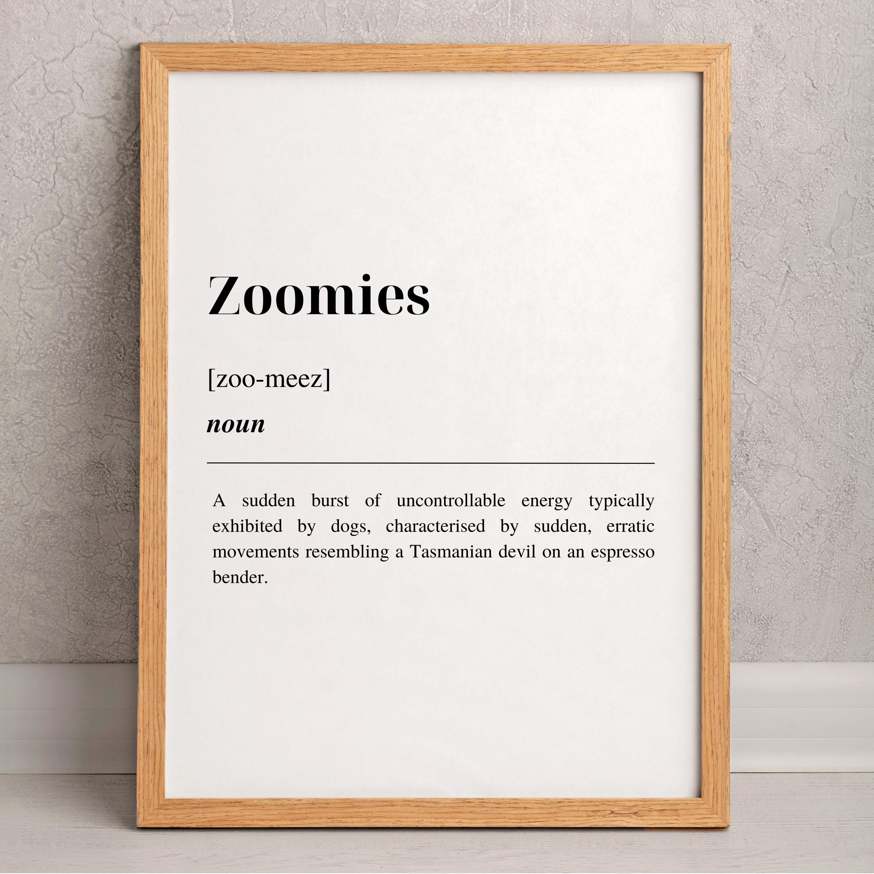 Zoomies Dictionary Definition Style Poster (digital Download) | Funny ...