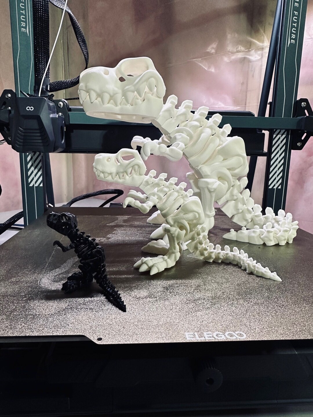 Flexi Rexi Skeleton | Flexible Dinosaur | Fidget Flexi Rexi | Flexi ...