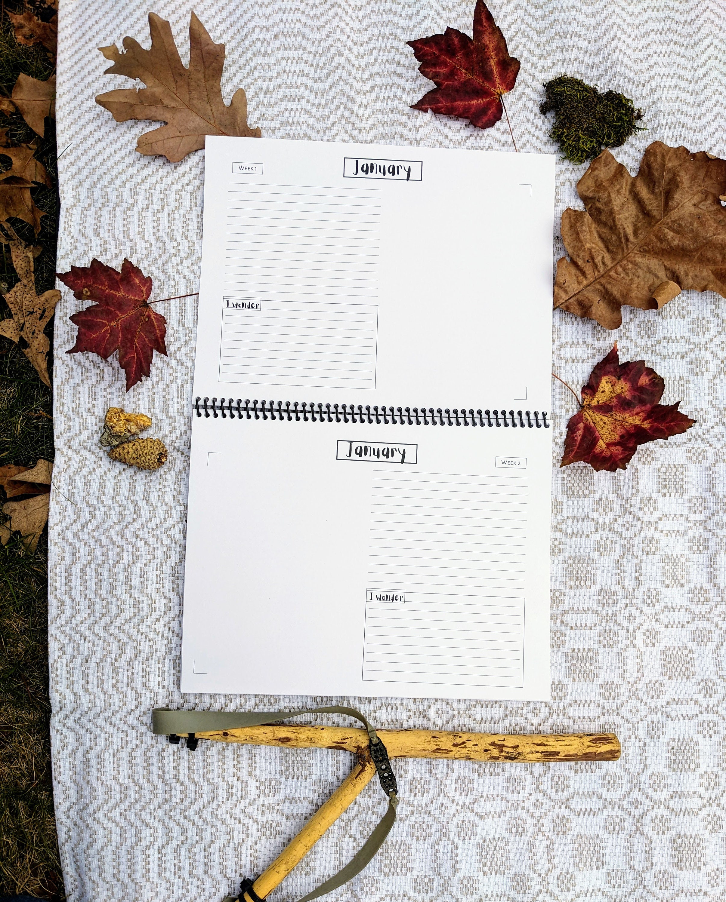 Nature Study Journal Calendar of Firsts Charlotte Mason - Etsy