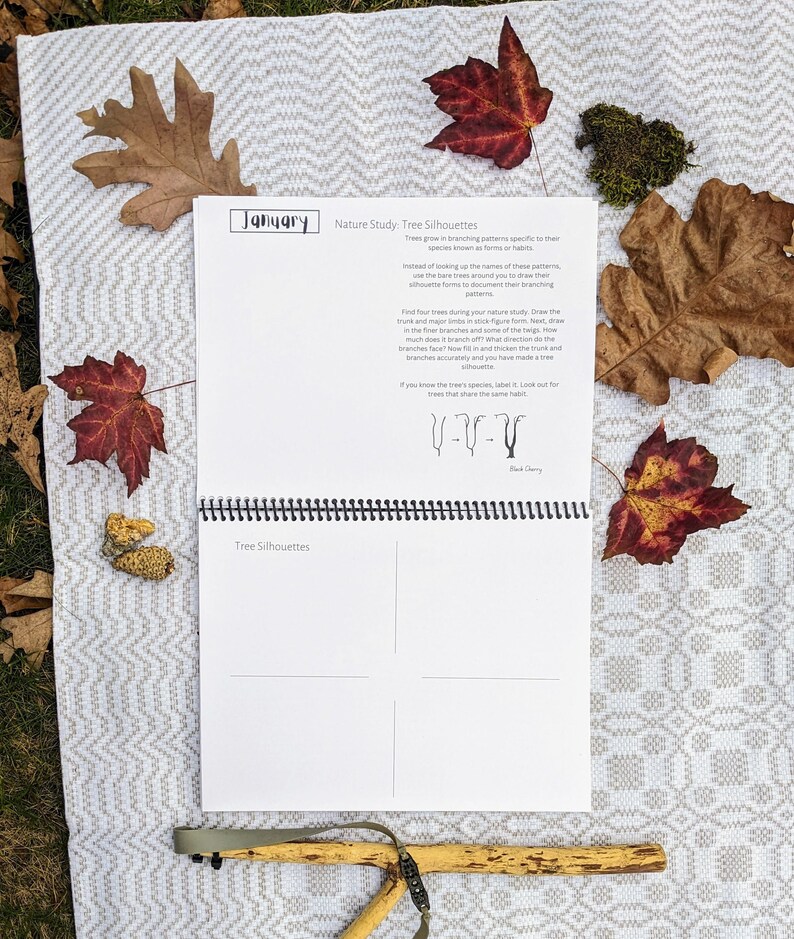 Nature Study Journal Calendar of Firsts Charlotte Mason - Etsy