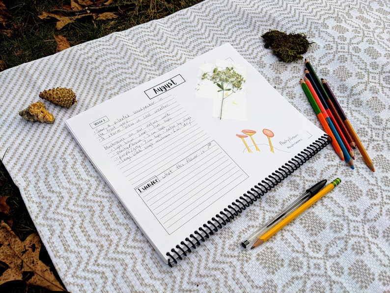 Nature Study Journal Calendar of Firsts Charlotte Mason - Etsy