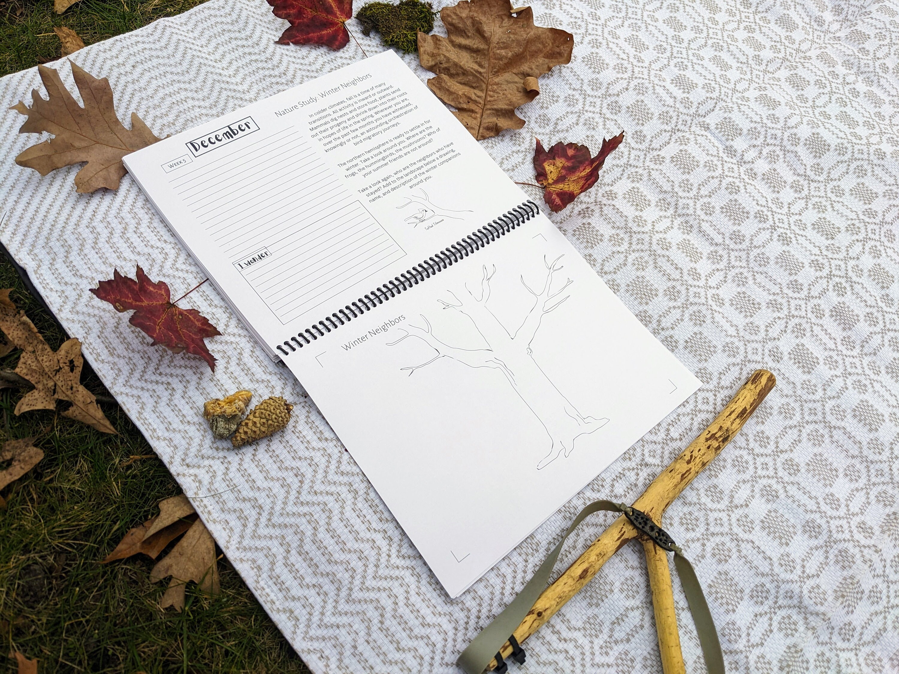 Nature Study Journal Calendar of Firsts Charlotte Mason - Etsy