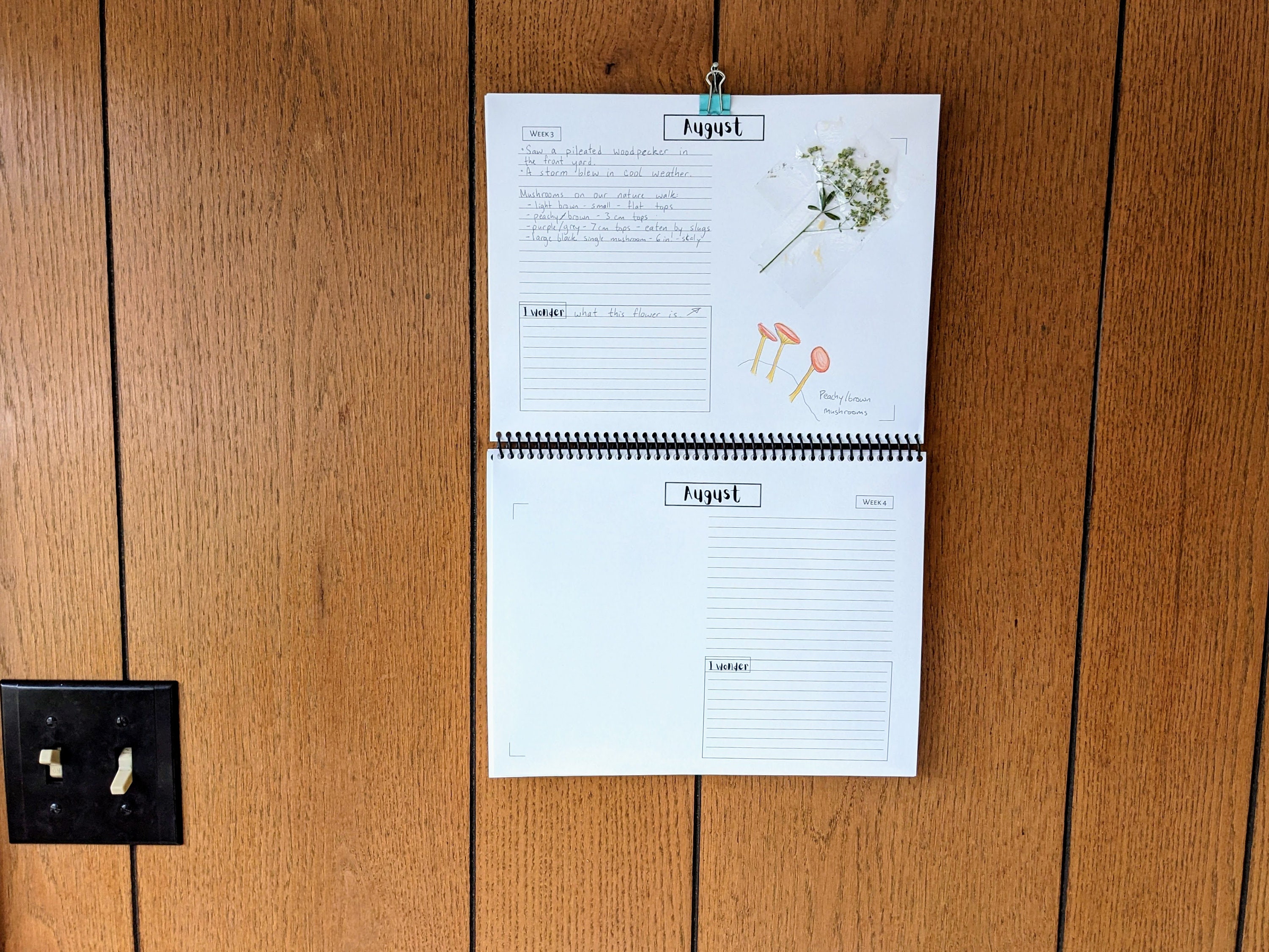 Nature Study Journal Calendar of Firsts Charlotte Mason - Etsy