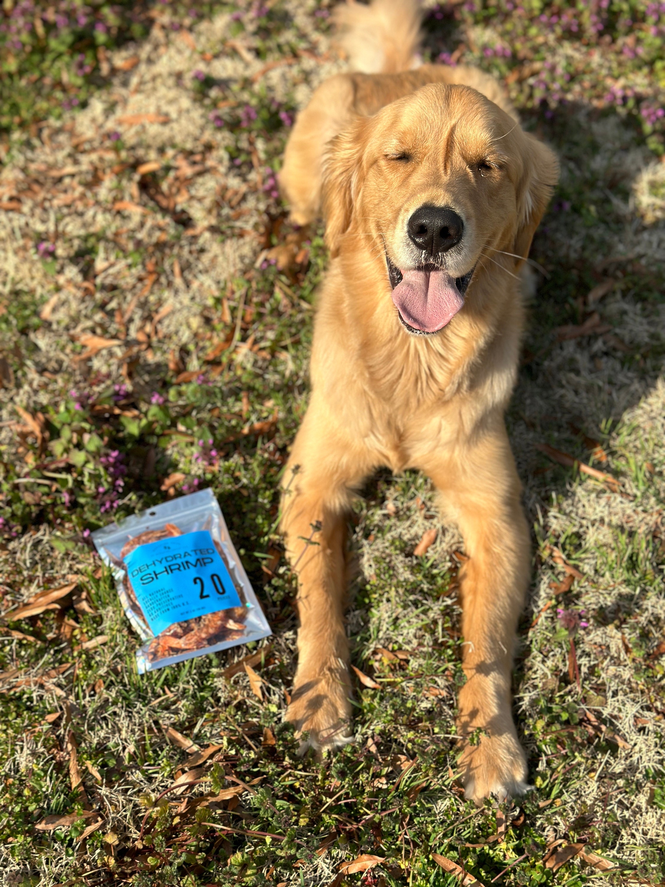 20 Dehydrated Shrimp for Dogs, Shrimp Dog Treats, Organic Dog Treats ...