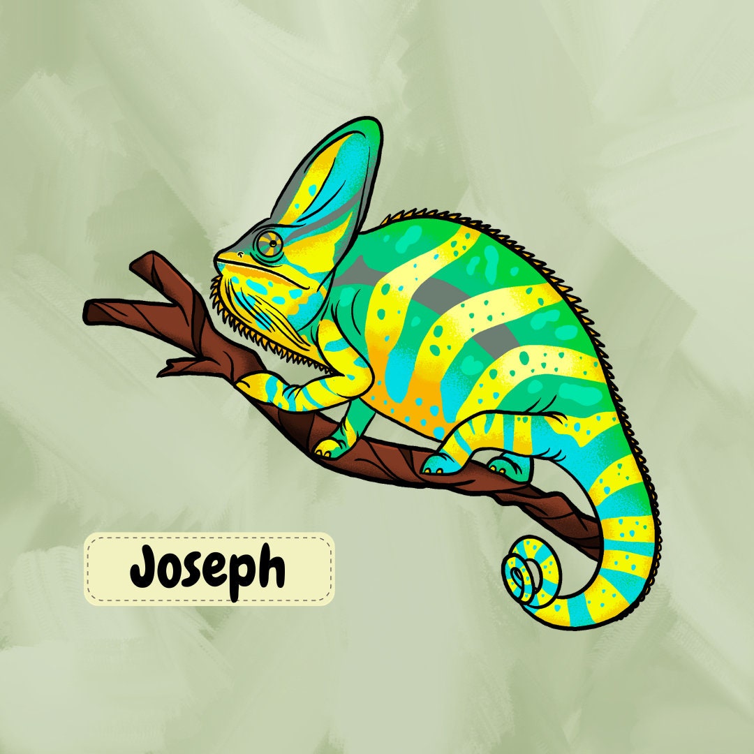 Fun Kids Reptile Sticker Veiled Chameleon 3 Inch Die Cut Educational ...