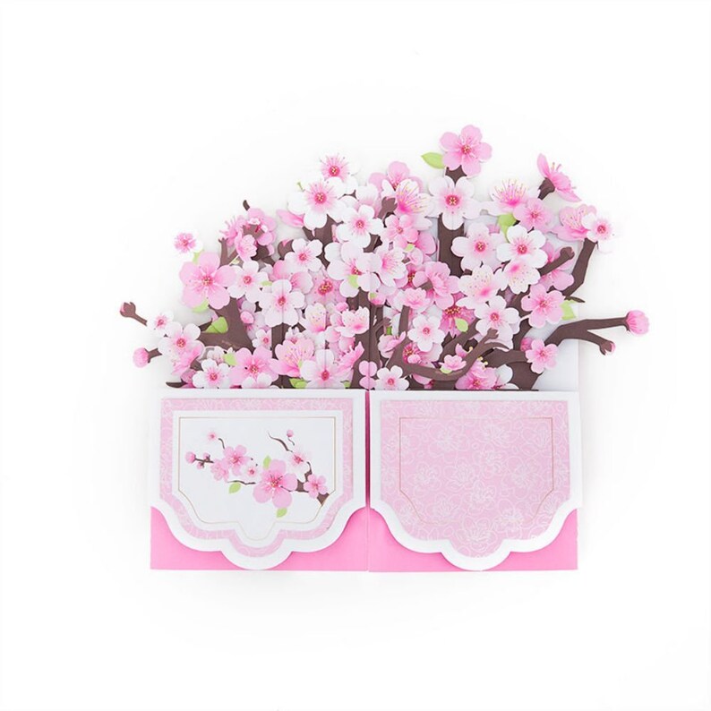 Personalized Cherry Blossom Flower Box 3D Pop up Greeting Card - Etsy