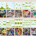 10 Photo Collage Canva Template | DIY Photo Grid Layout for Social ...
