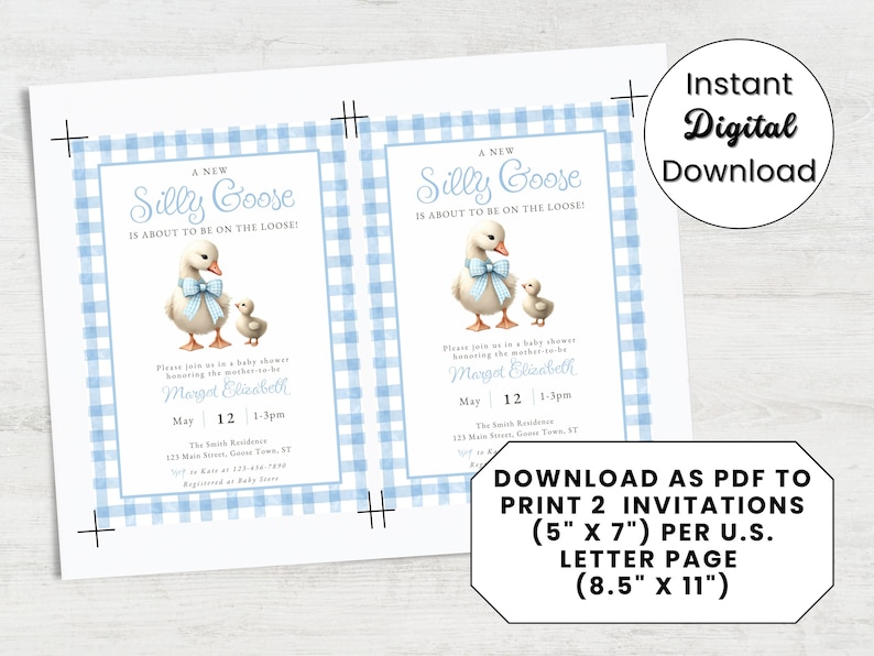 Gender Neutral Gingham Goose Baby Shower Invitation, Editable Silly ...