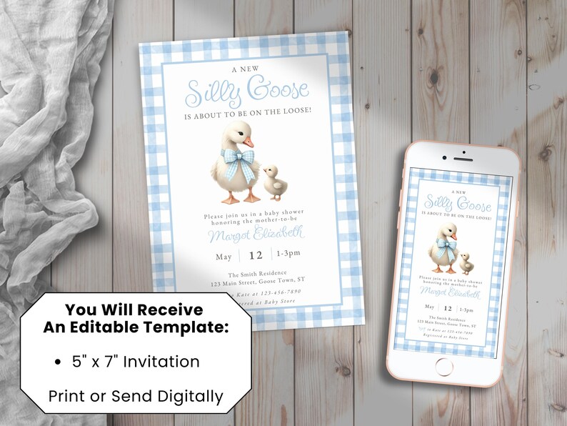 Gender Neutral Gingham Goose Baby Shower Invitation, Editable Silly ...
