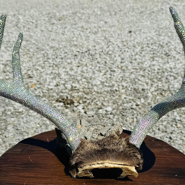 Rhinestone Antler - Etsy