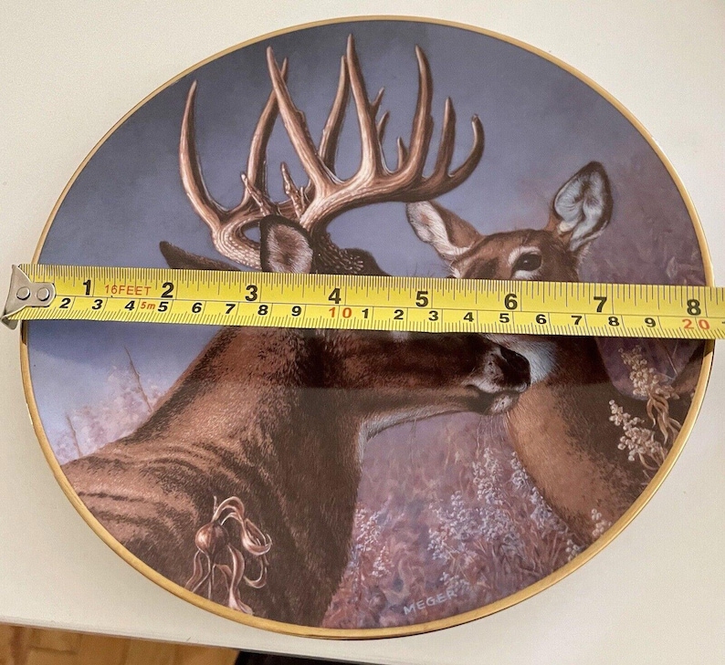 Hamilton Collection Set of 2 Plates Portraits of the Wild James Meger ...