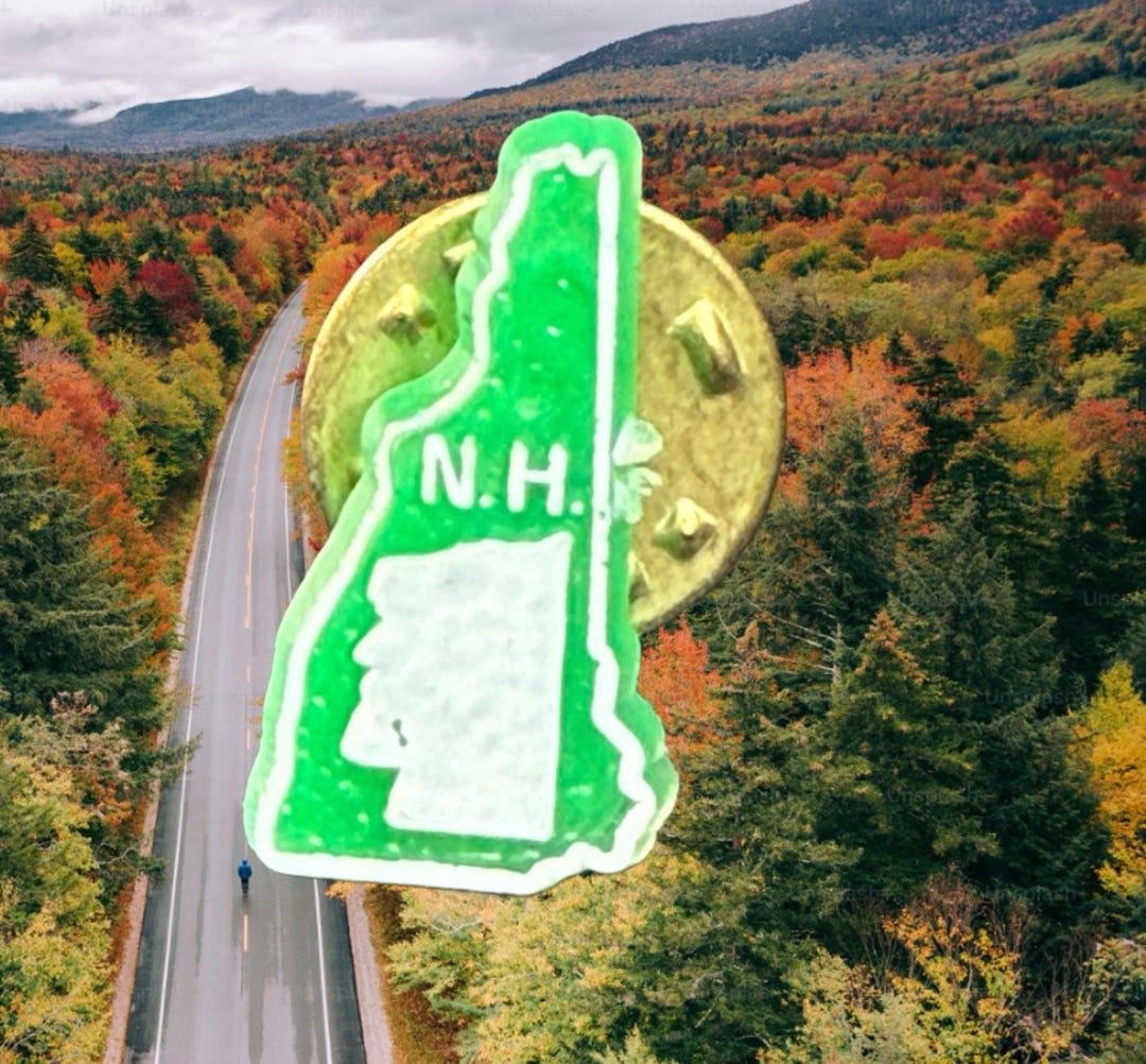 Vintage 1970s New Hampshire Souvenir Pin Green White Resin, 0.5x0.75 ...