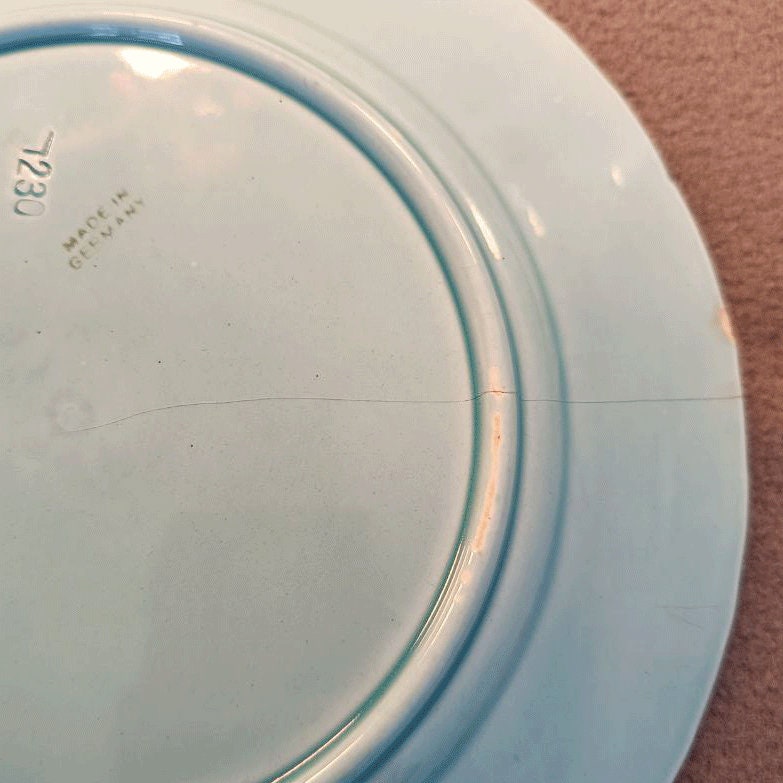 Vintage Majolica Birds Plate Robins Egg Blue Purple Grapes Germany Tin ...