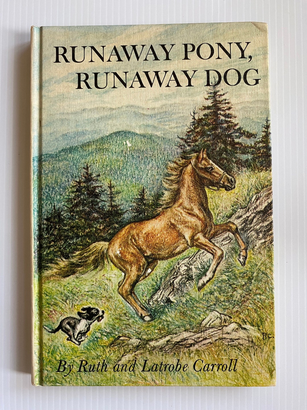 Runaway Pony, Runaway Dog by Ruth & Latrobe Carroll Vintage 1963 ...