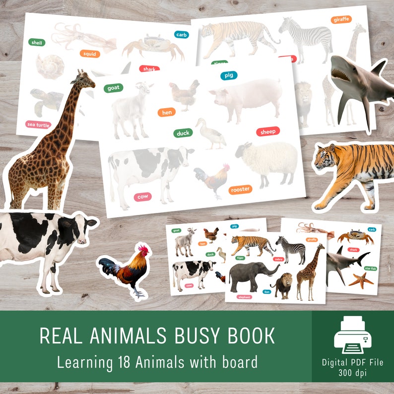 Real Animals Busy Book Printable Activity for Kindergarten - Etsy