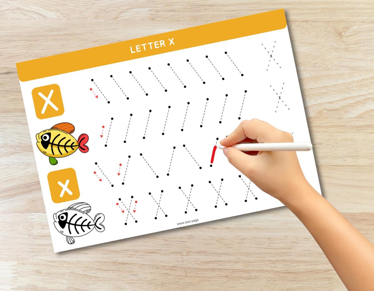 Tracing the Basic Line for Alphabet Workbook Printable Activity for ...