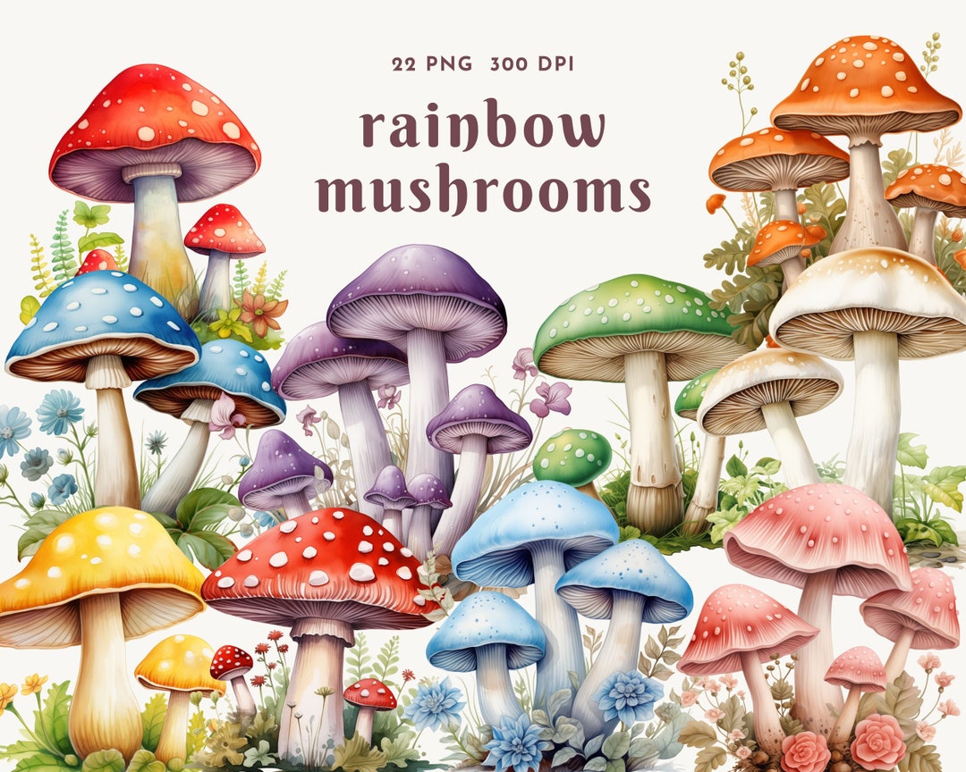 Rainbow Mushrooms Clipart, Fungus Digital Download, Png, Printable ...