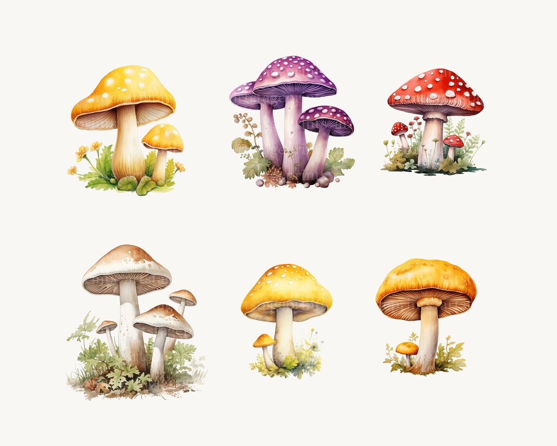 Rainbow Mushrooms Clipart, Fungus Digital Download, Png, Printable ...