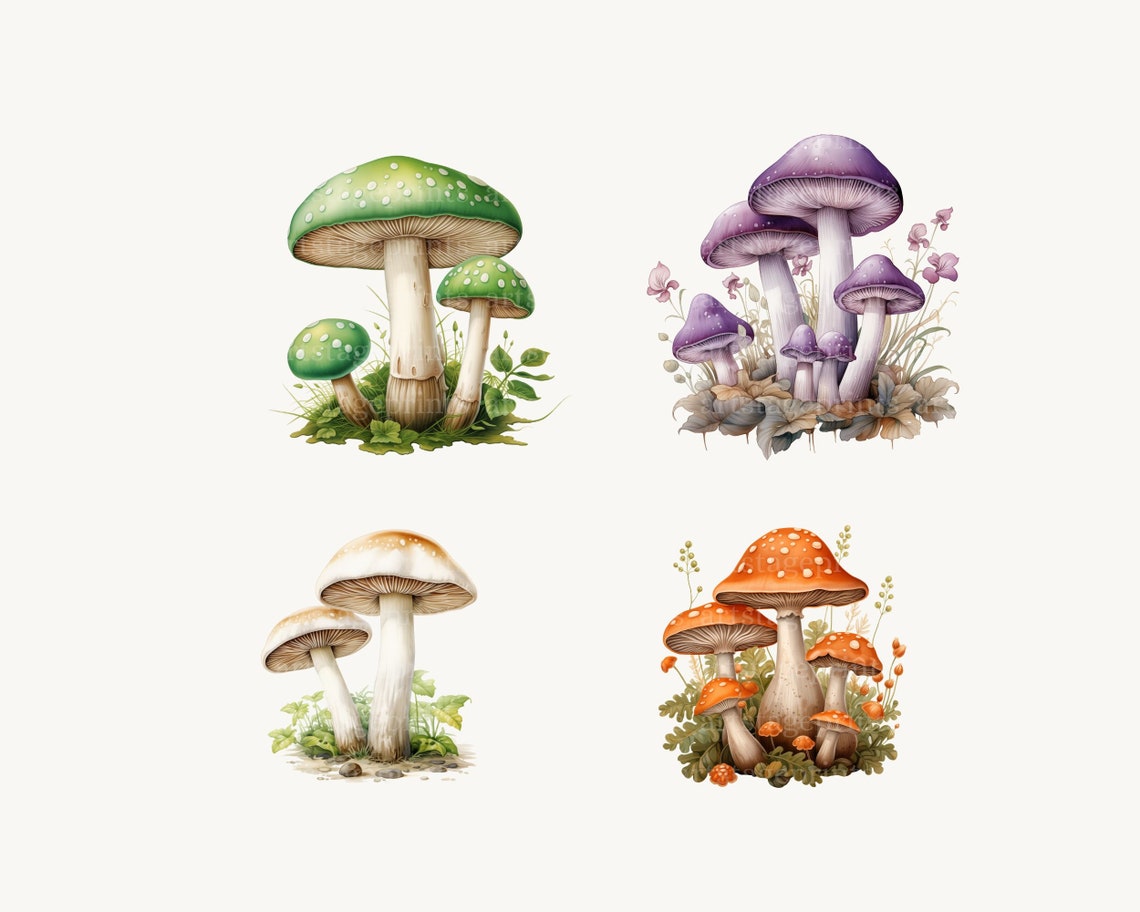 Rainbow Mushrooms Clipart, Fungus Digital Download, Png, Printable ...