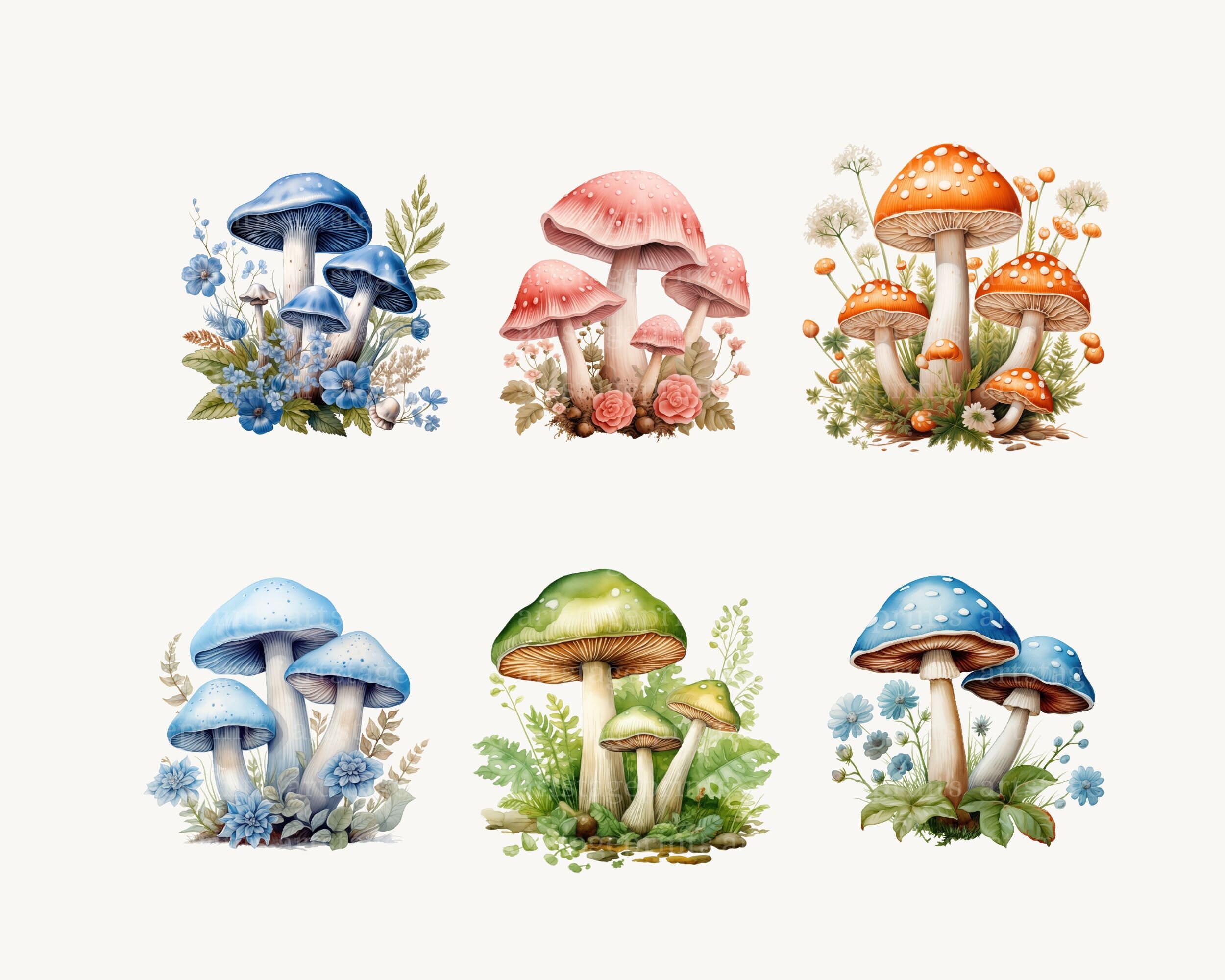 Rainbow Mushrooms Clipart, Fungus Digital Download, Png, Printable ...
