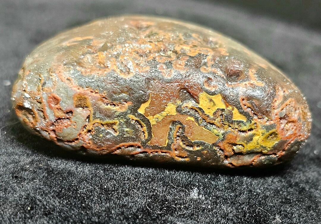 Crazy Fig LSA Full Skin - Etsy