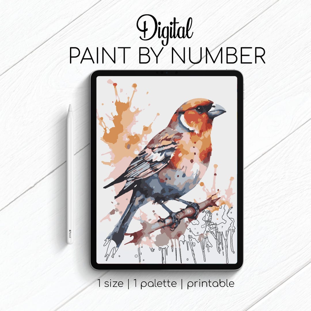 Bull Finch Bird - Paint by Number for Procreate - Color by Numbers ...