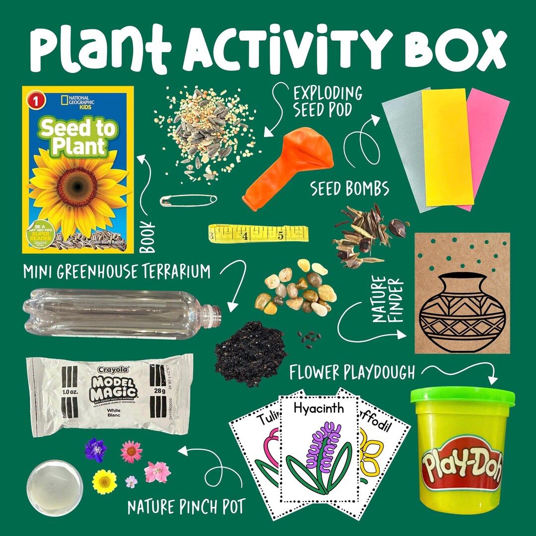 Plant Life Activity Box - Etsy