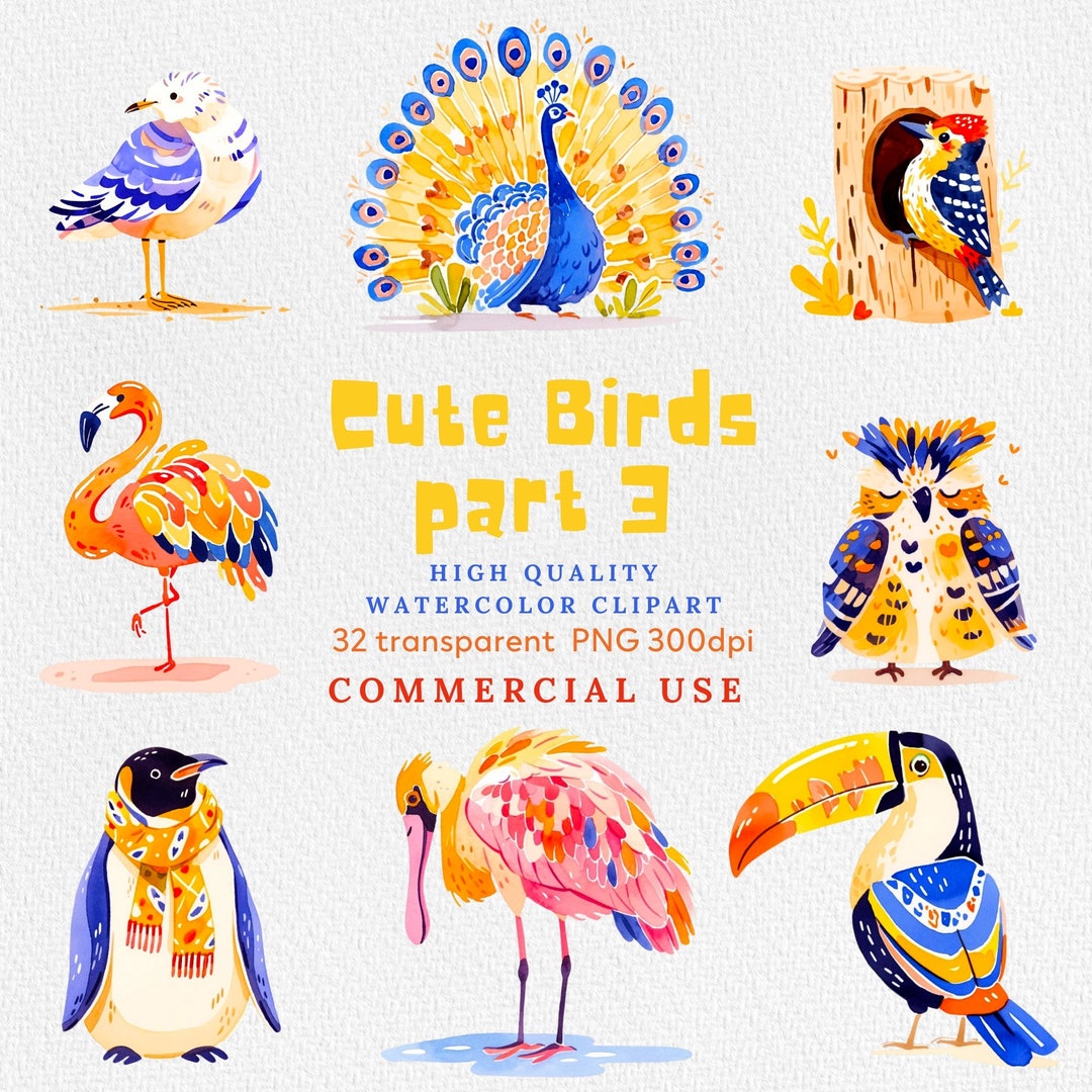 Bird Clipart Bundle PNG Images of Birds for Digital Scrapbooking, Card ...