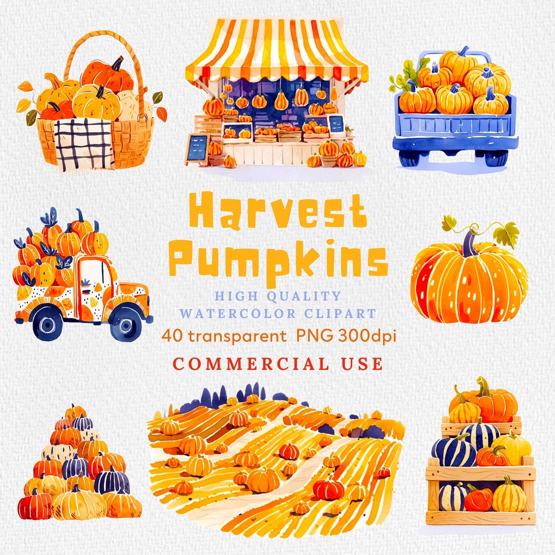Watercolor Pumpkin Clipart: Autumn Harvest PNG (digital Download) - Etsy