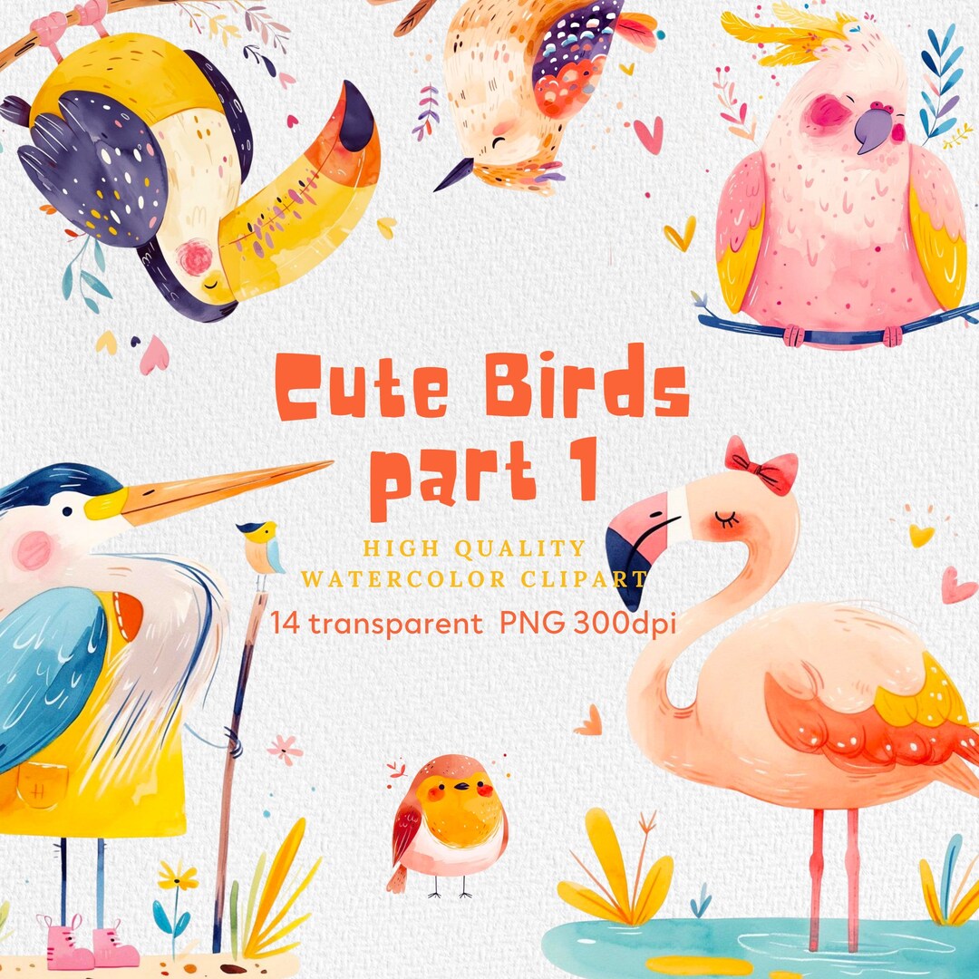 Bird Clipart Bundle PNG Images of Birds for Digital Scrapbooking, Card ...