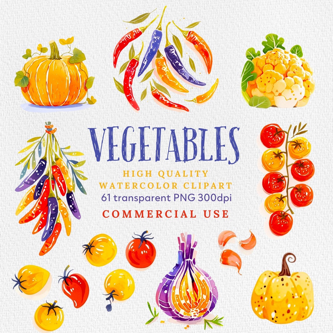 Watercolor Vegetables Clipart, 61 PNG Summer Vegetables Assorted, Farm ...