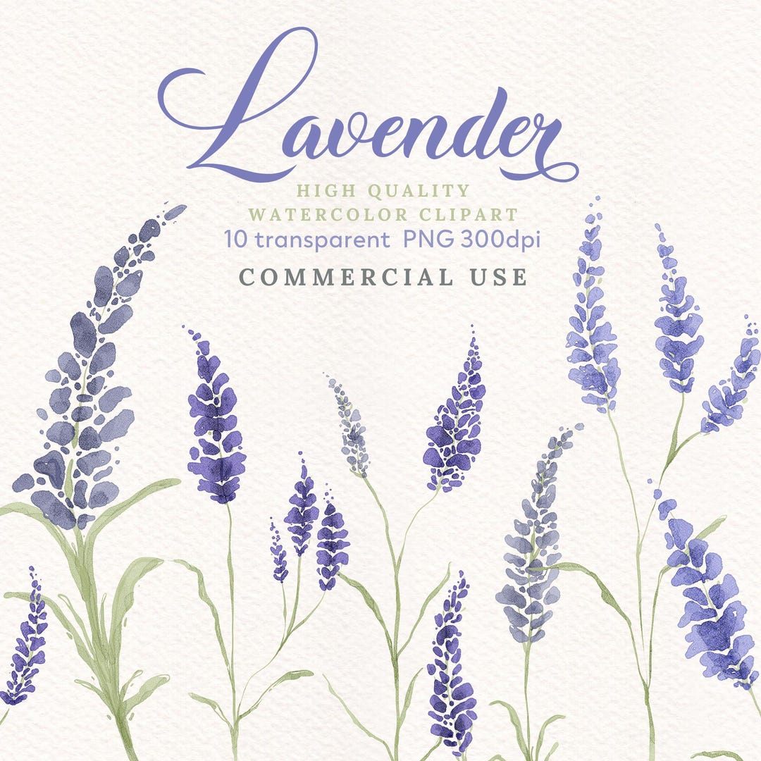 Watercolor Lavender Clipart Bundle, Wedding, Lavender Clipart, Purple ...