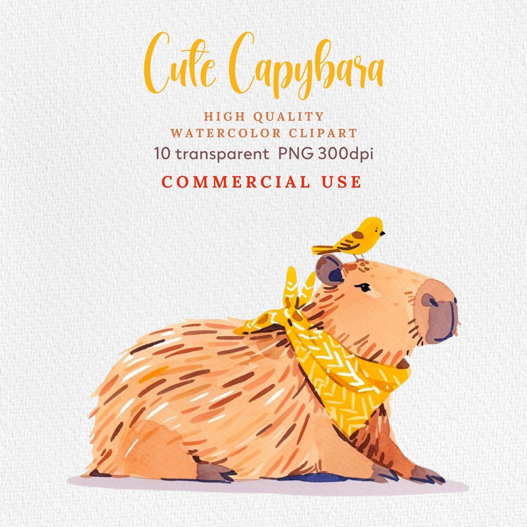 Watercolor Capybara Clipart, Cute Capybara PNG, Instant Download, Cute ...