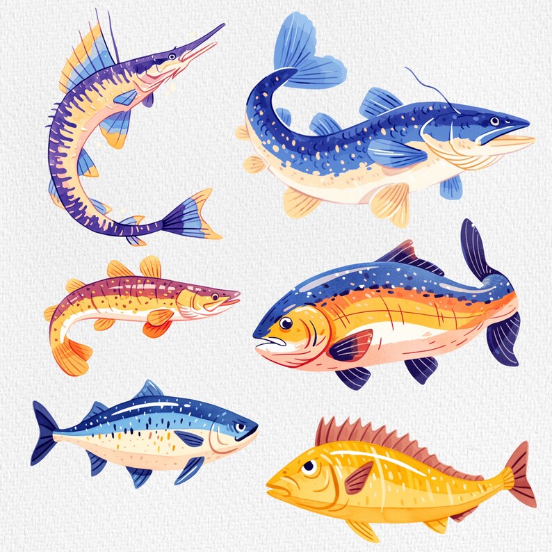 Watercolor Fish Species Clipart, Fish Clipart, Fish Lovers, Colorful ...