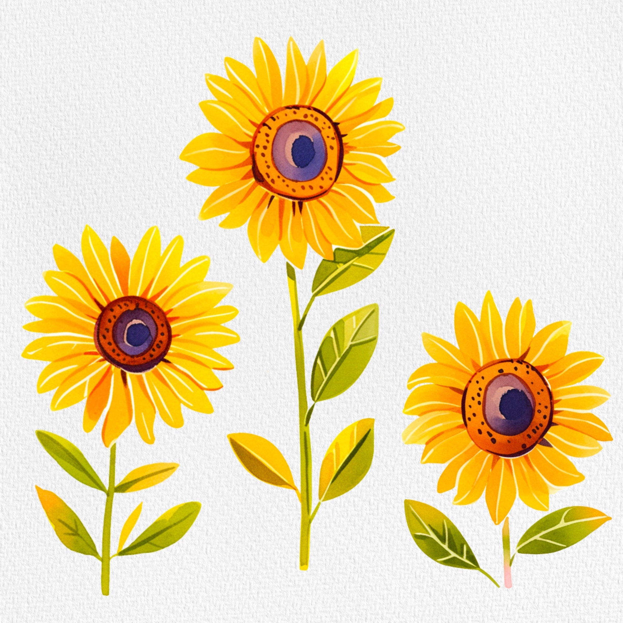 Watercolor Sunflowers Clipart: Summer Floral PNG (commercial Use) - Etsy