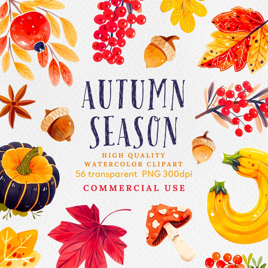 Watercolor Autumn Clipart Bundle: Fall Leaves, Pumpkins, Berries (PNG ...