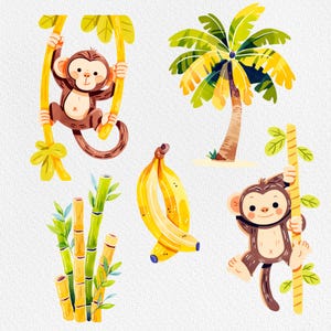 Monkey Clipart, Cute Monkey PNG, Watercolor Monkey, Safari Animal ...