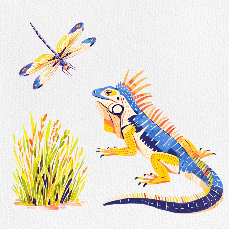 Watercolor Reptiles Clipart, Chameleon, Lizard, Snake, Turtle, Tortoise ...