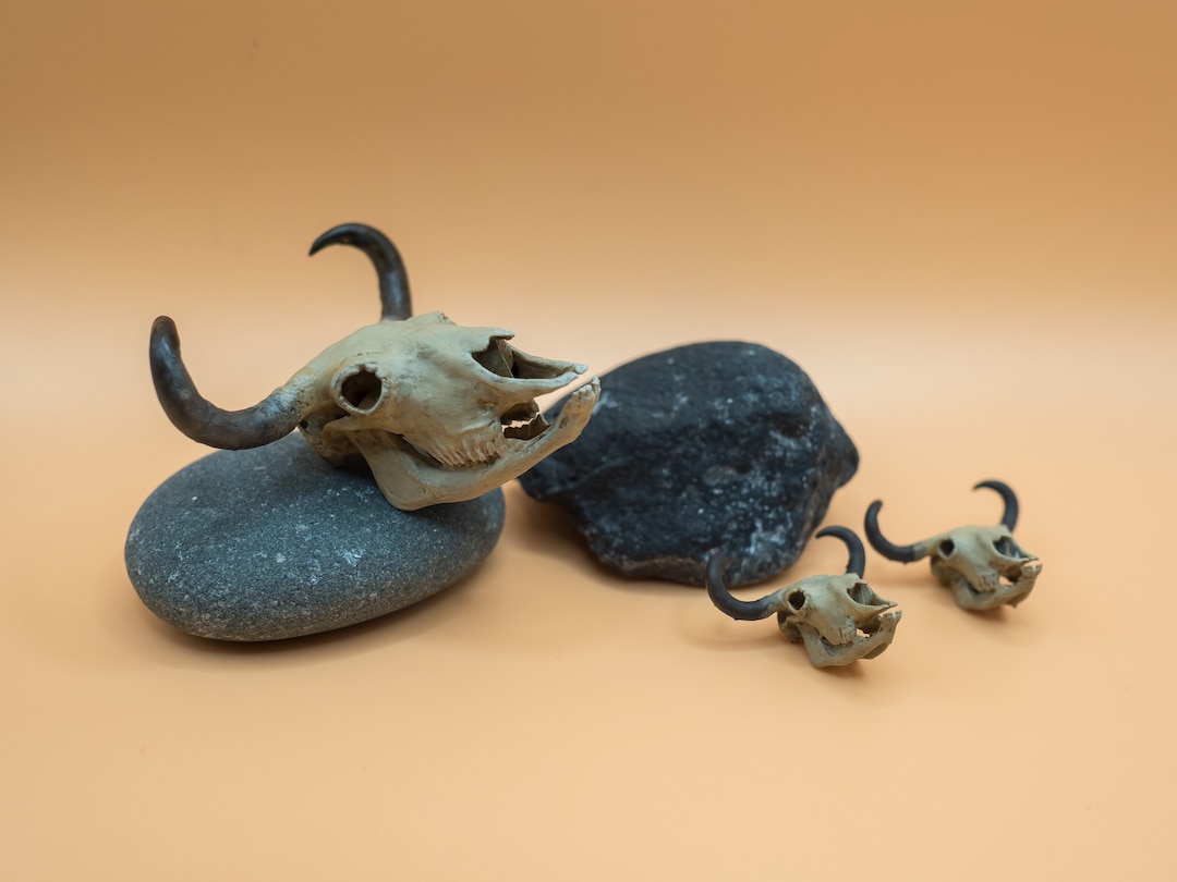1/24 1/12 Scale Bison Skull Replica 3D Print Miniature Custom Hand ...