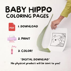 Baby Hippo Moo Deng Coloring Pages | Cute Pygmy Hippopotamus Designs ...