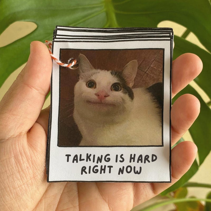 Emotional Regulation Pecs - Etsy