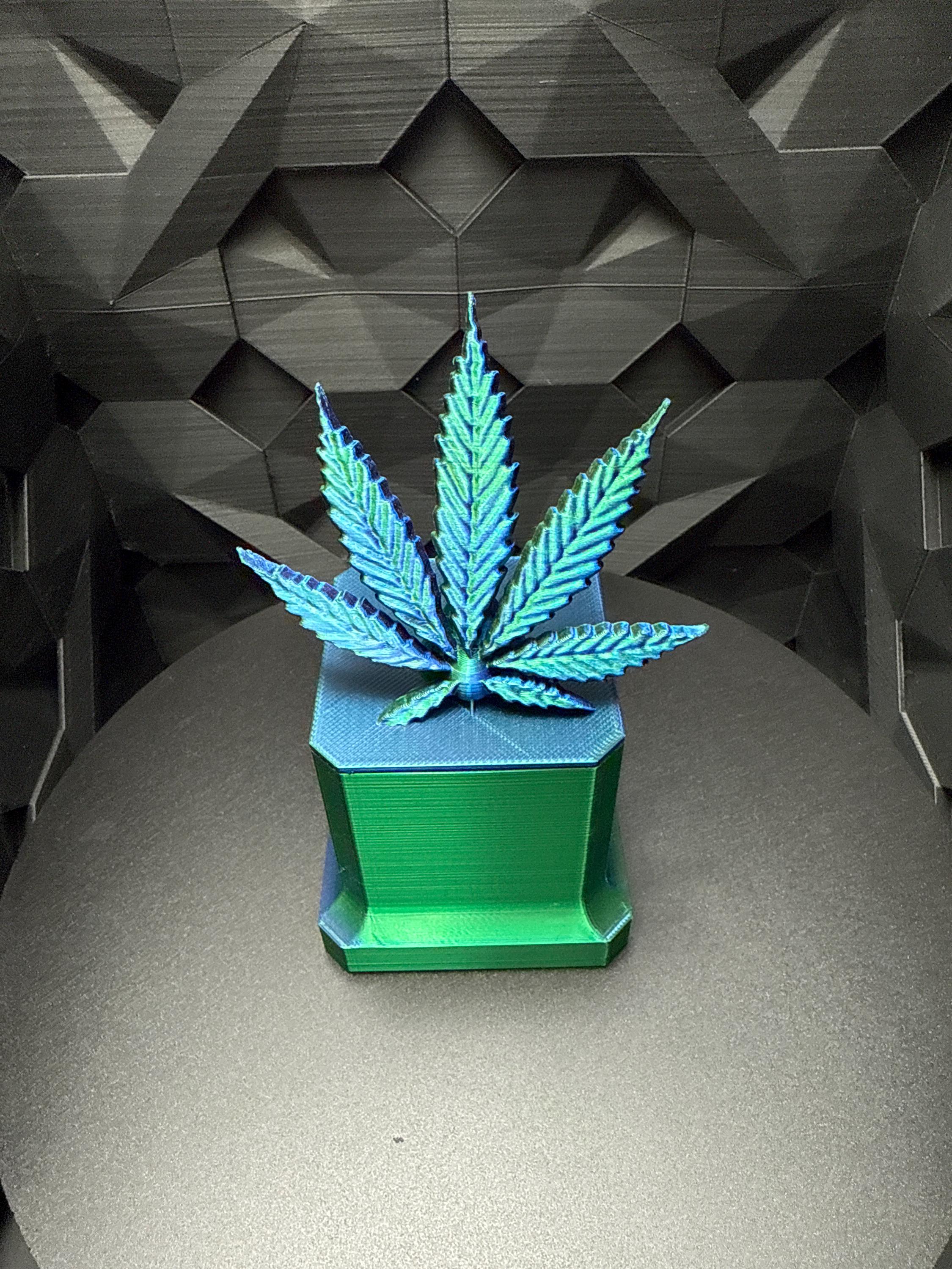 Pot Leaf Trophy Container - Etsy