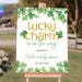 Lucky Charm Baby Shower Welcome Sign, Irish Baby Shower Welcome Poster ...
