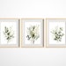 Watercolor Botanical Print, Set of 3, Wild Flowers Art, Boho Floral ...