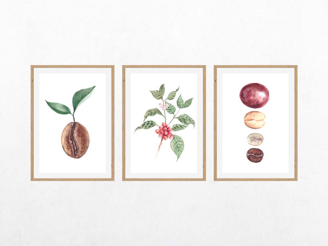 Coffee Bean Botanical Prints Set, Watercolor Art for Coffee Lovers ...