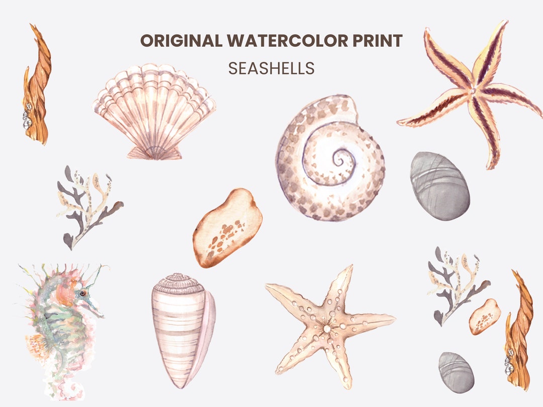 Watercolor Seashell Clipart, Sea Life Art Digital Bundle, Ocean Clipart ...
